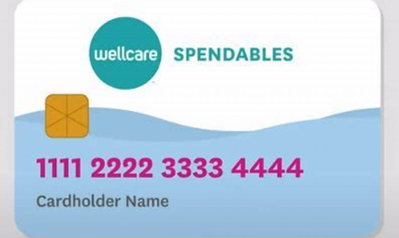 Wellcare Food Card: Know What You CAN Buy (Guide)