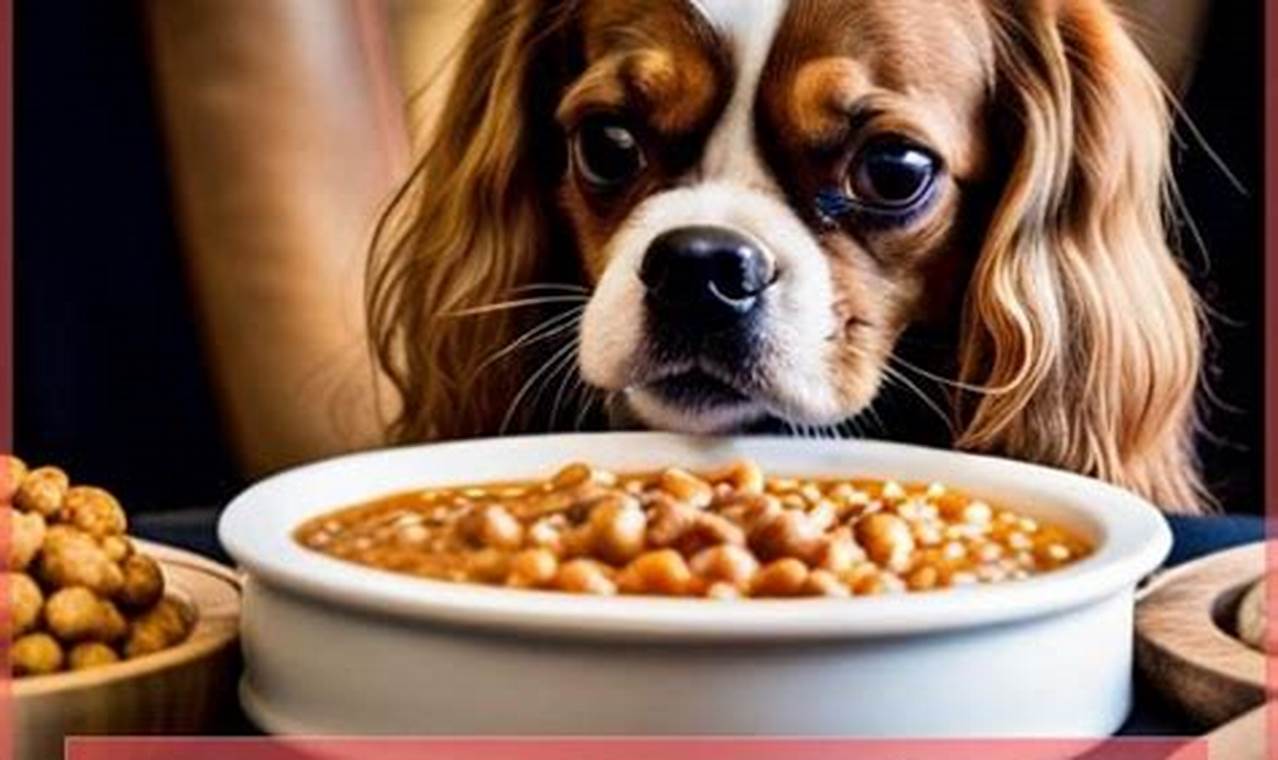 Guide: Best Food for Cavalier King Charles Spaniels (2024)