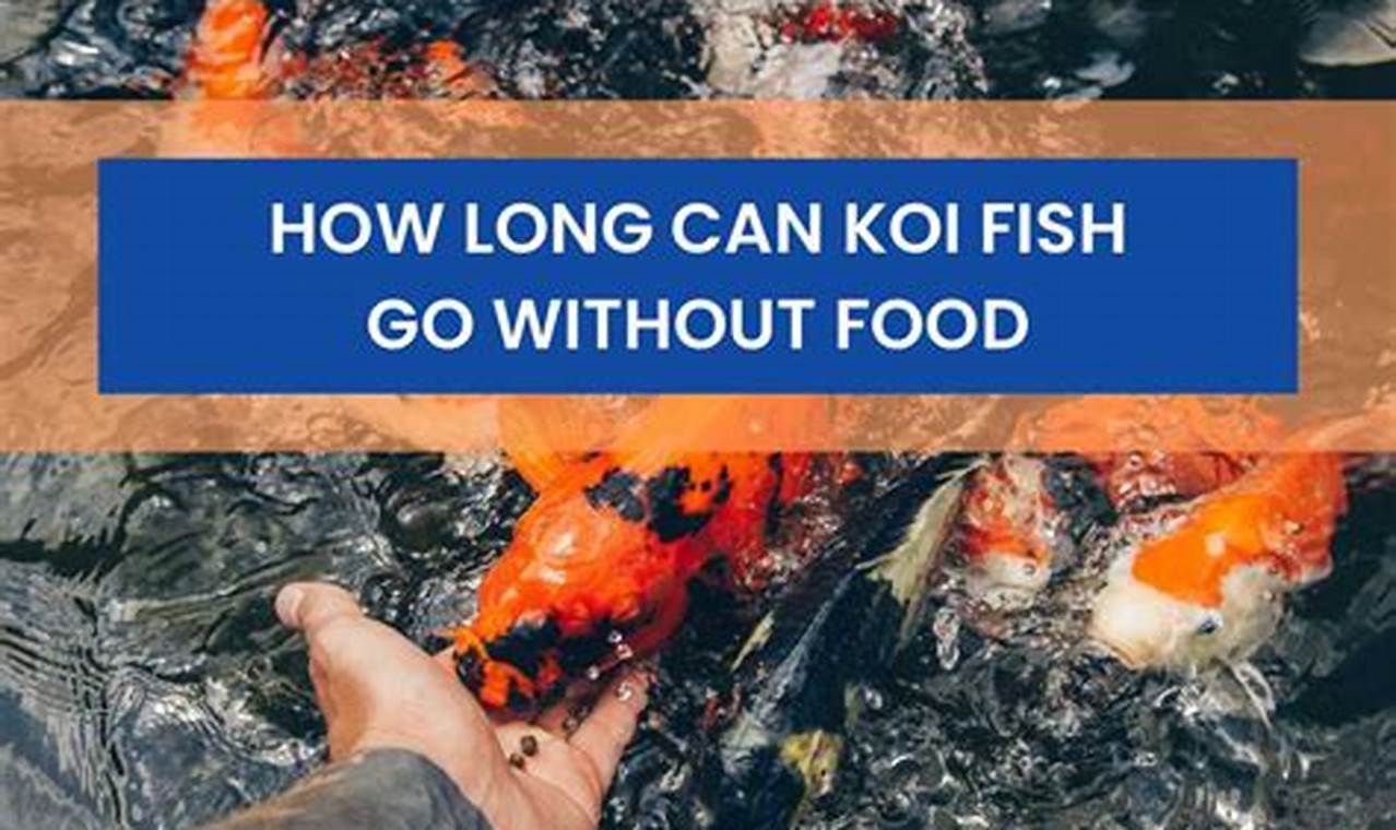 Fish: How Long Do Fish Live Without Food? Survival Guide