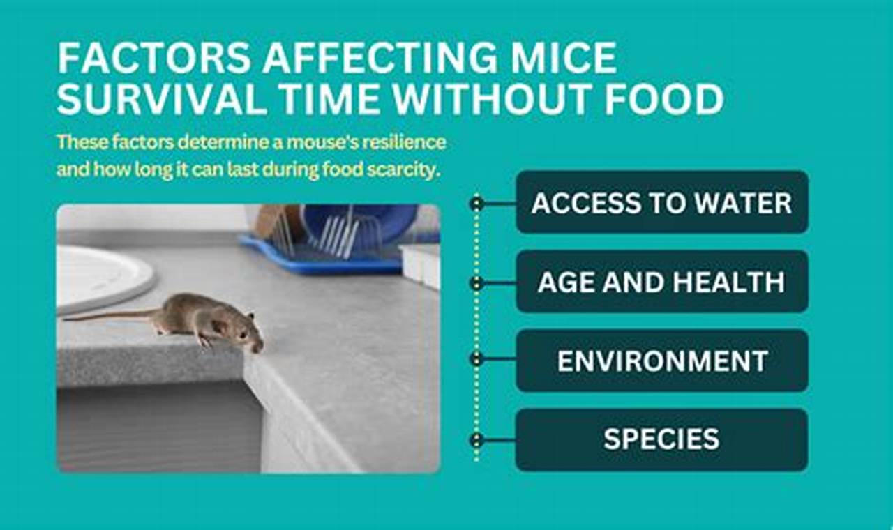 Mice & Food: How Long Can Mice Go Without Food? Survival Tips
