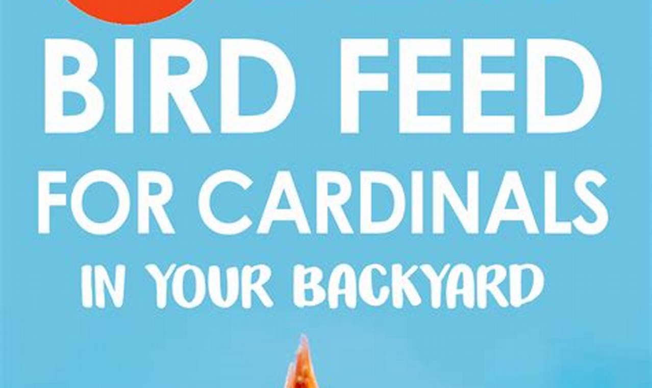 Attract Cardinals: The Best Cardinal Bird Food Mix + More!