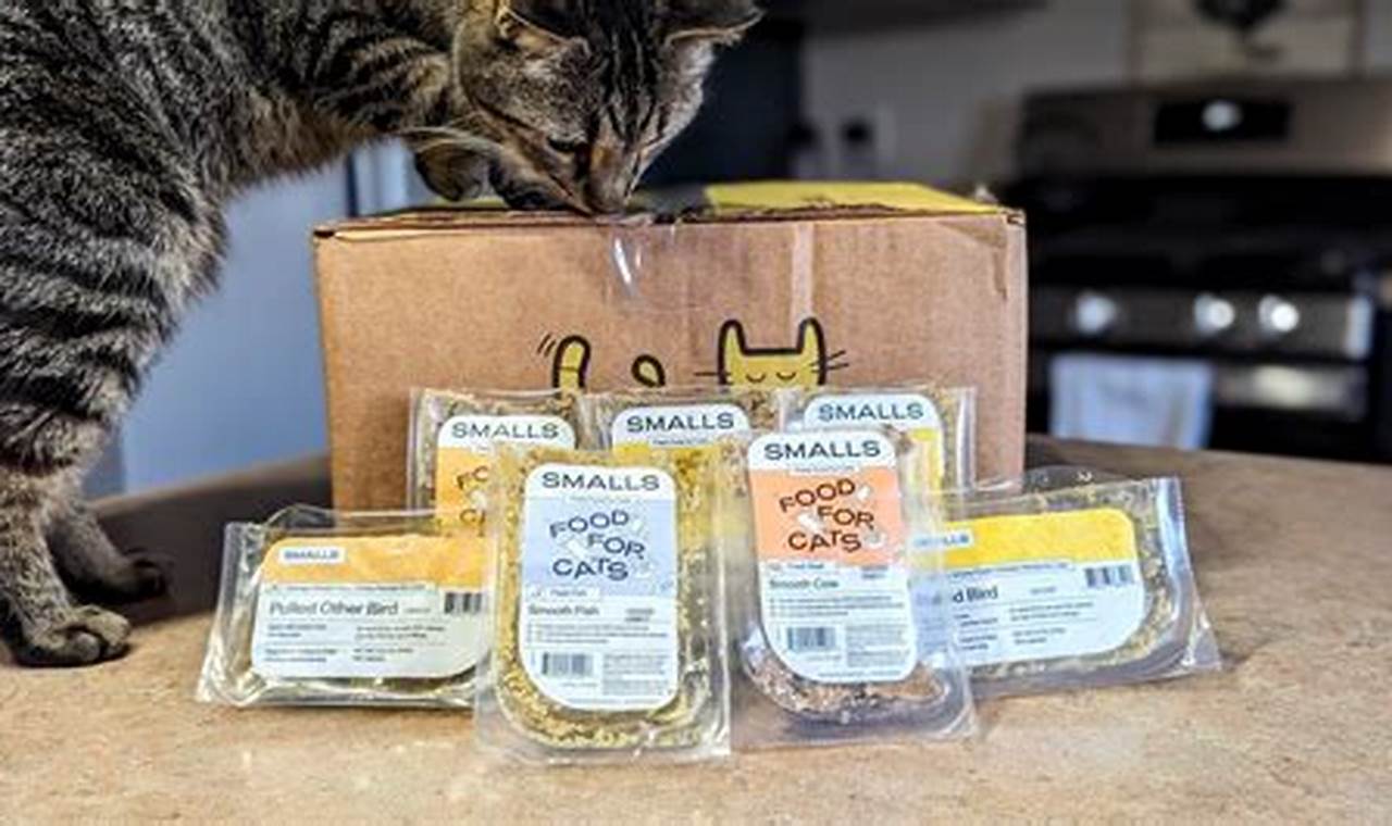 Best Fresh Cat Food Delivery: Healthier Cat, Happy You!